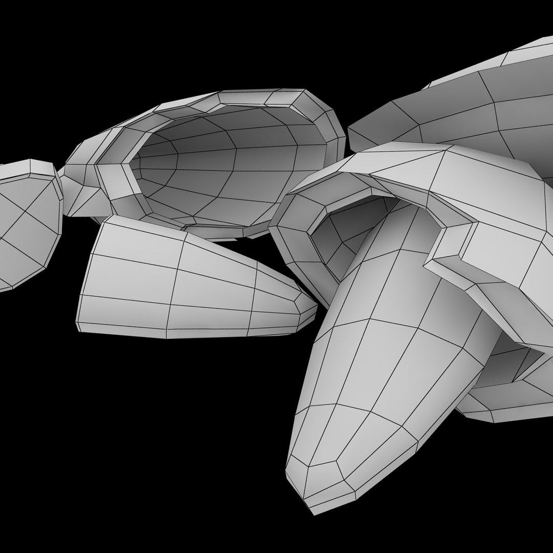 Realistic nuts set 3D - TurboSquid 1212419