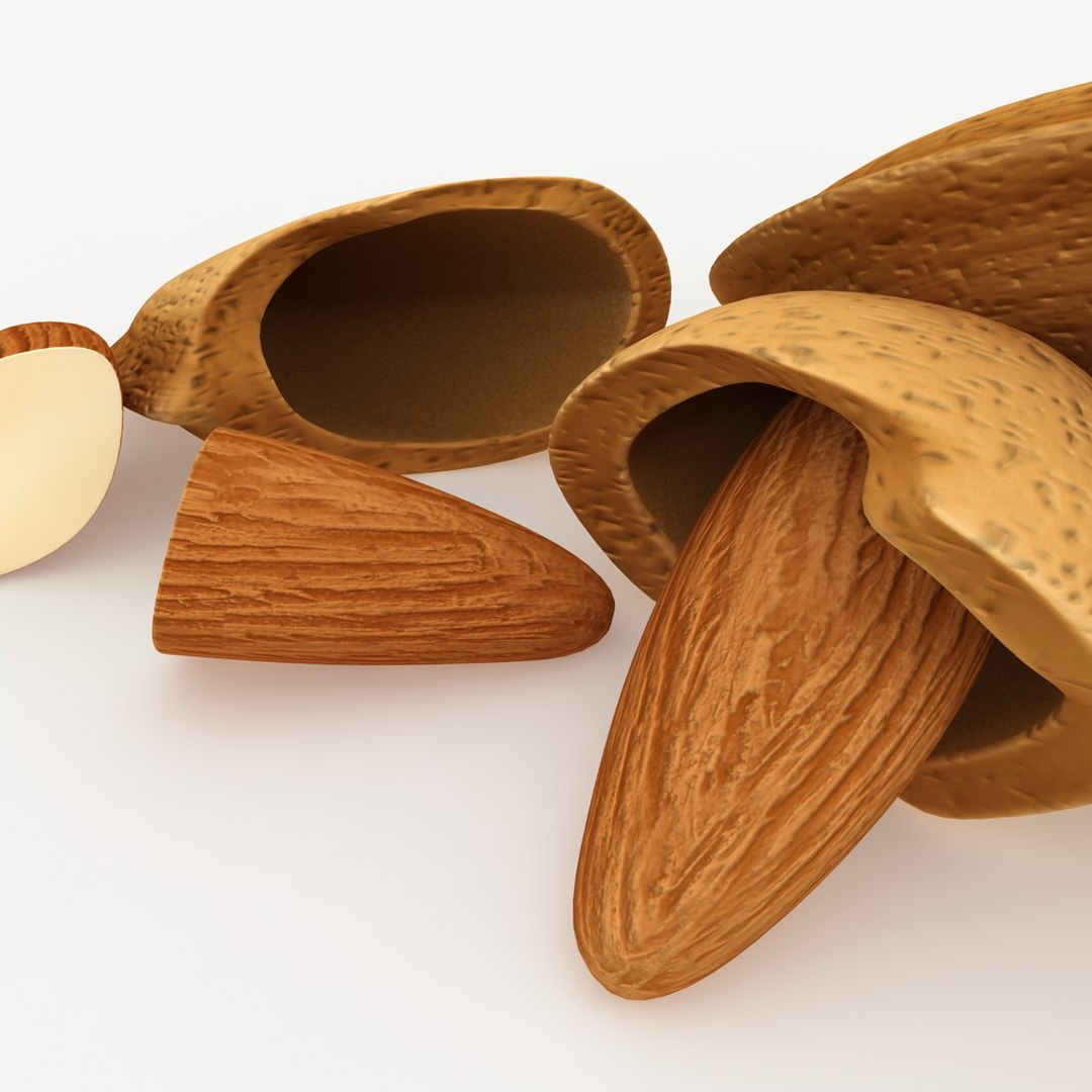 Realistic nuts set 3D - TurboSquid 1212419