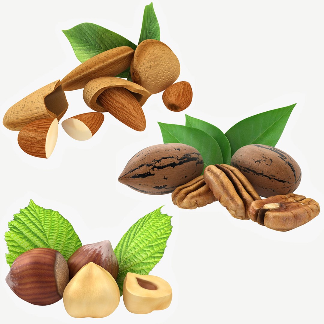 Realistic nuts set 3D - TurboSquid 1212419