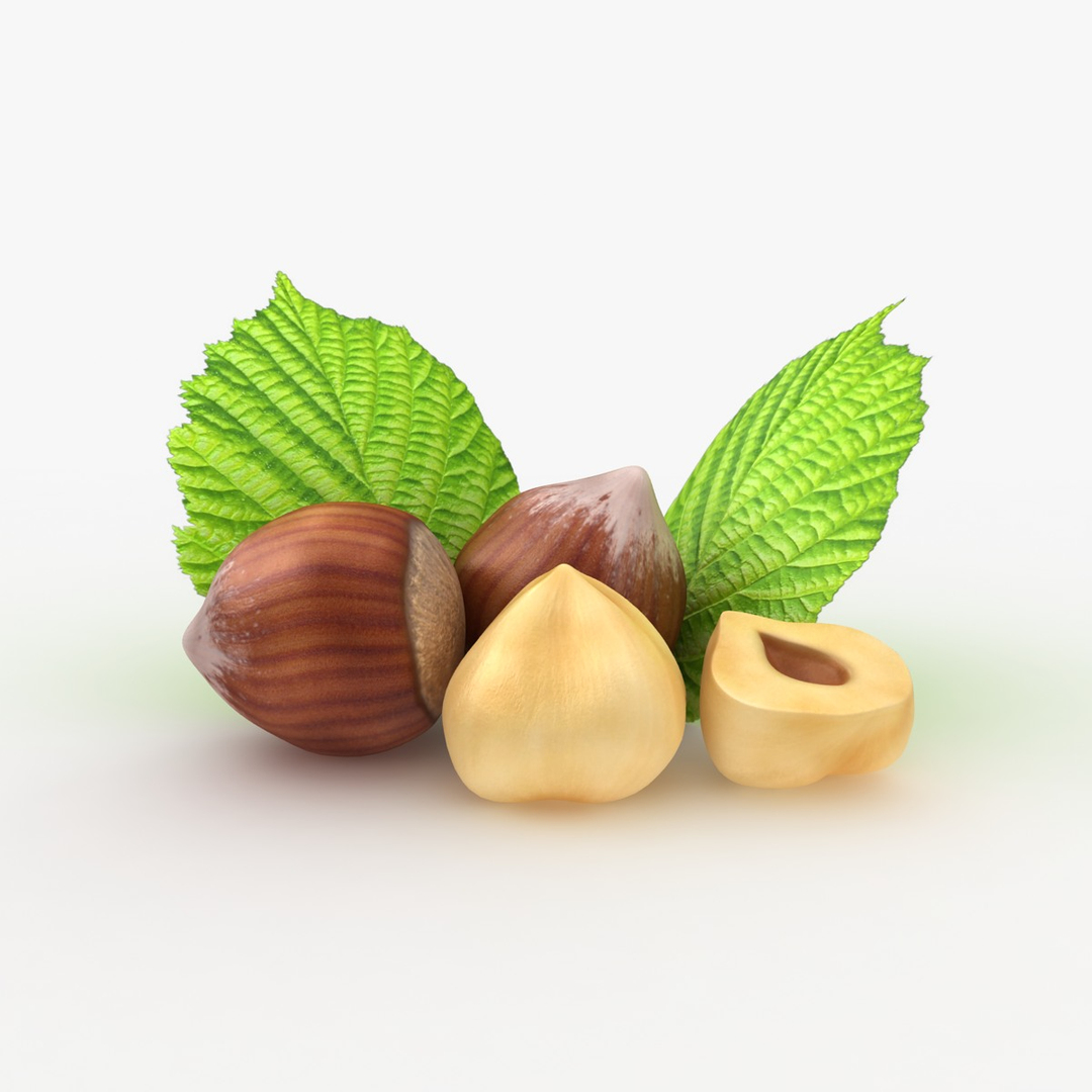 Realistic nuts set 3D - TurboSquid 1212419
