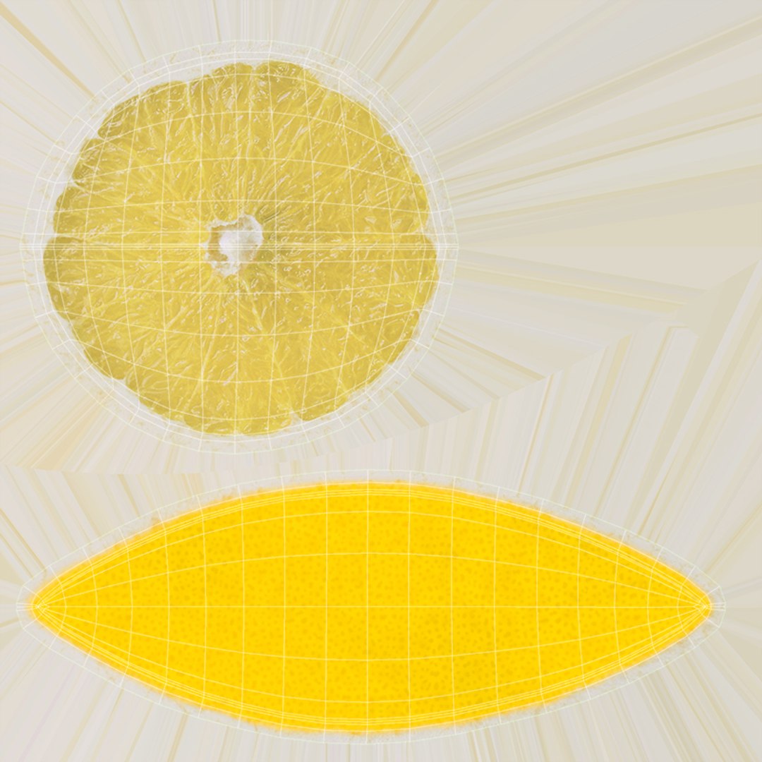 Yellow Grapefruit Collection 3D Model - TurboSquid 2033054