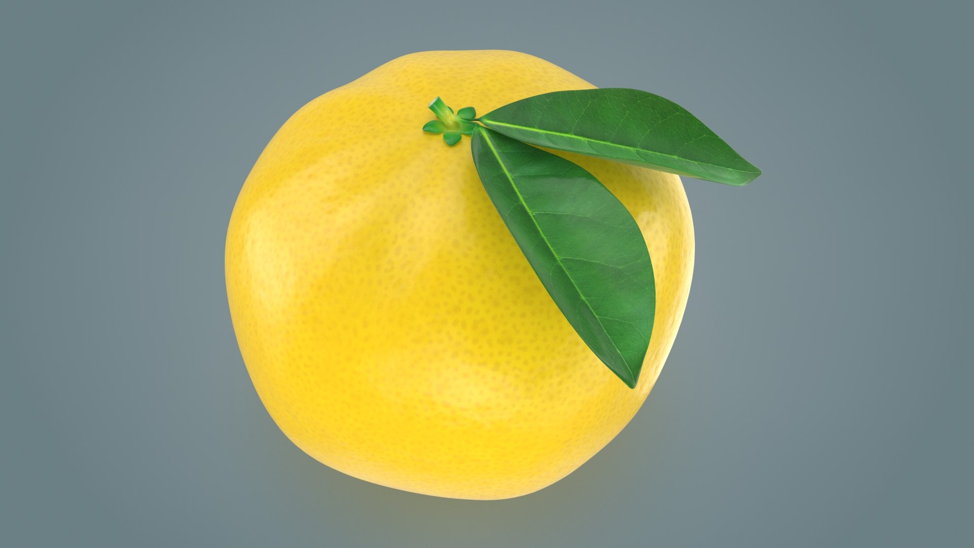 Yellow Grapefruit Collection 3D Model - TurboSquid 2033054