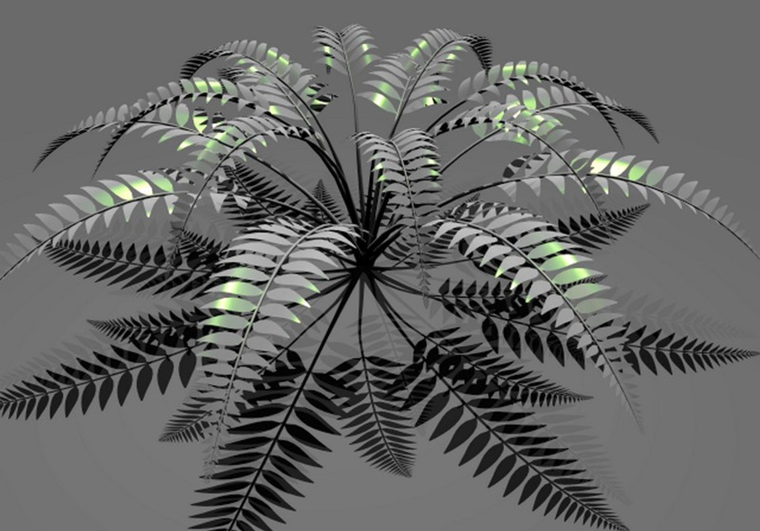 Fern Plant 3d Model