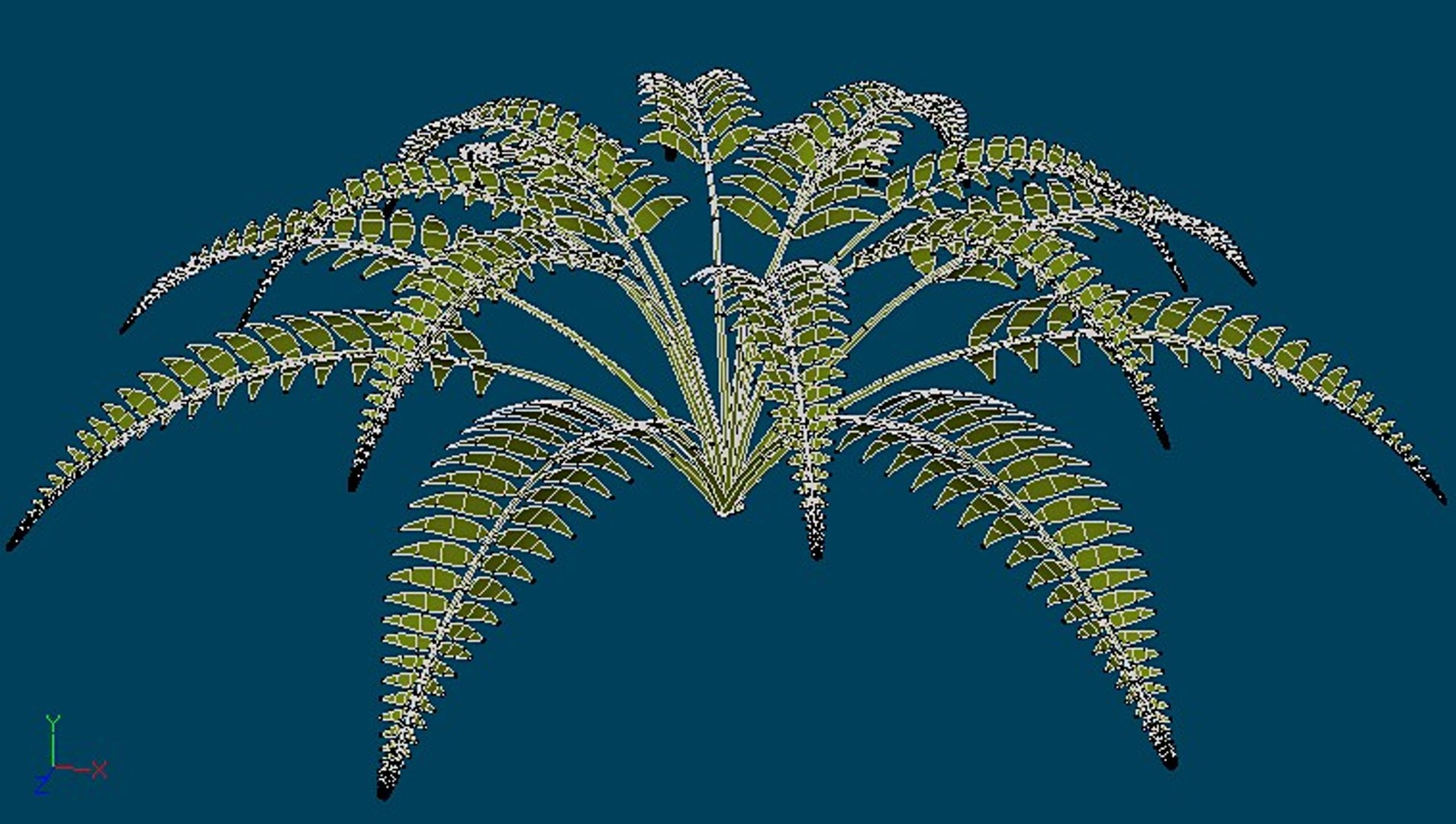 Fern Plant 3d Model