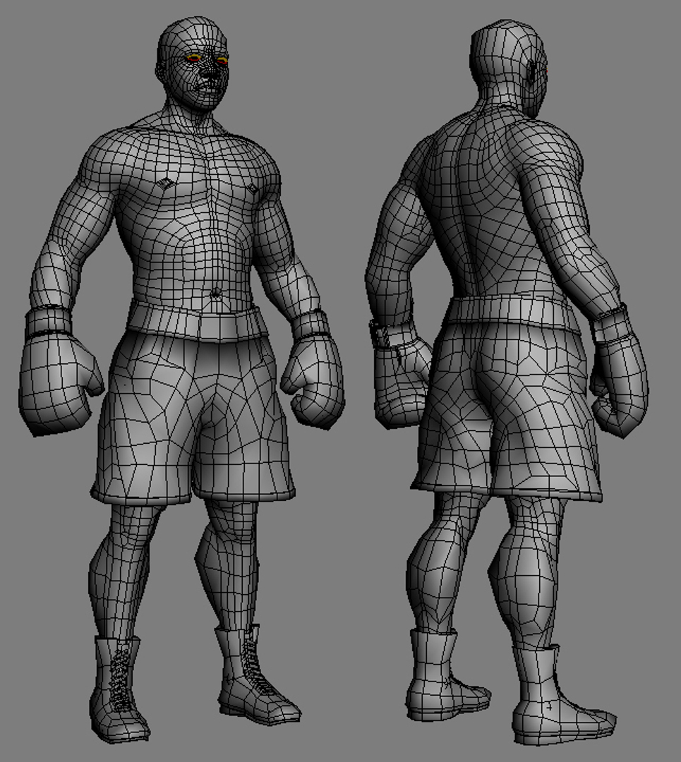 male boxer 3d max