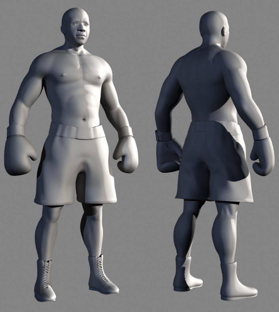 Male Boxer 3d Max