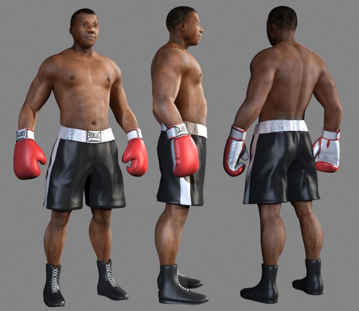 Male Boxer 3d Max