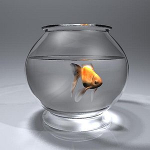 Low Poly Aquarium 3D Models For Download | TurboSquid