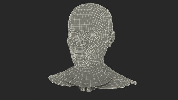 3D human head anatomy skin model - TurboSquid 1474081