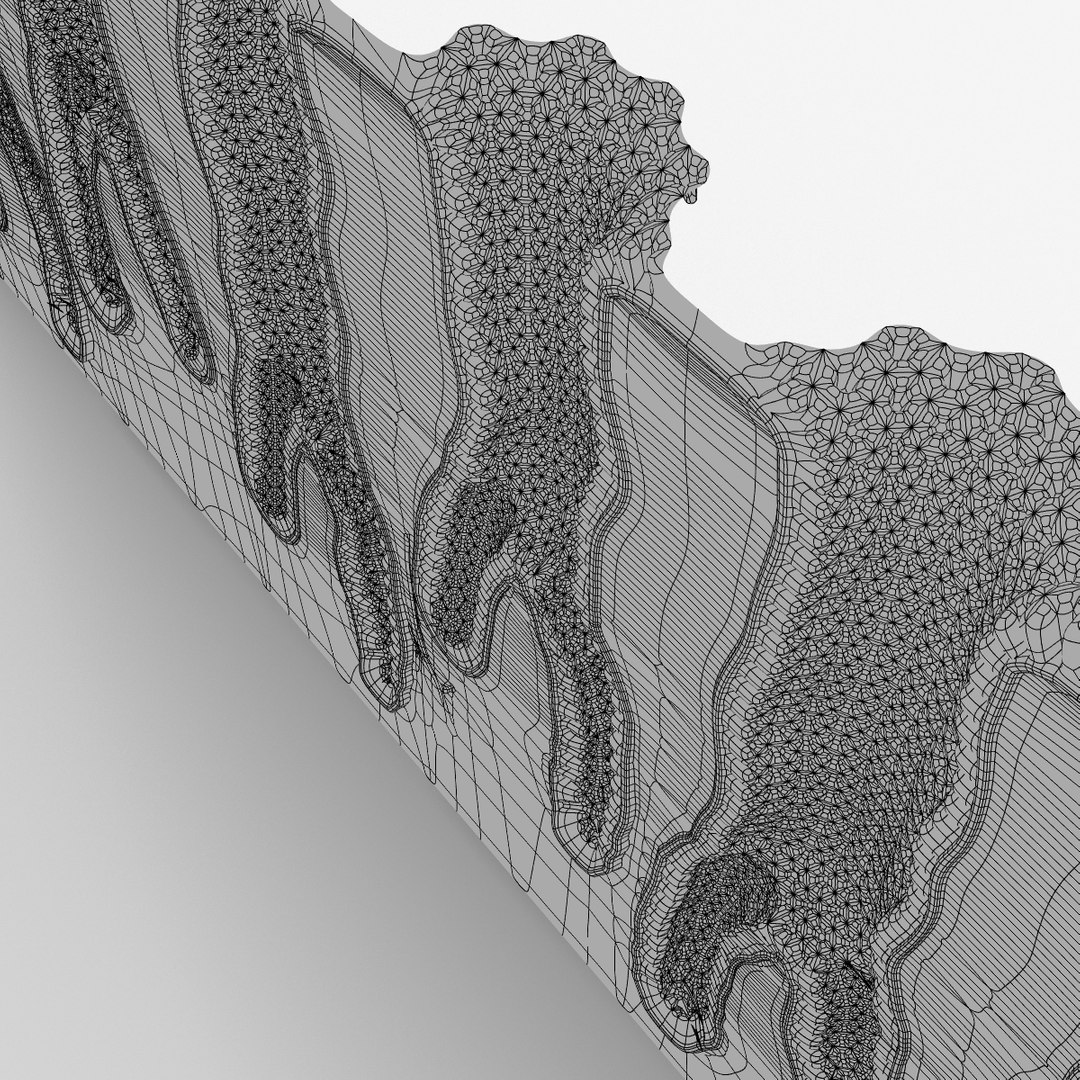 Stomach Lining 3d Obj
