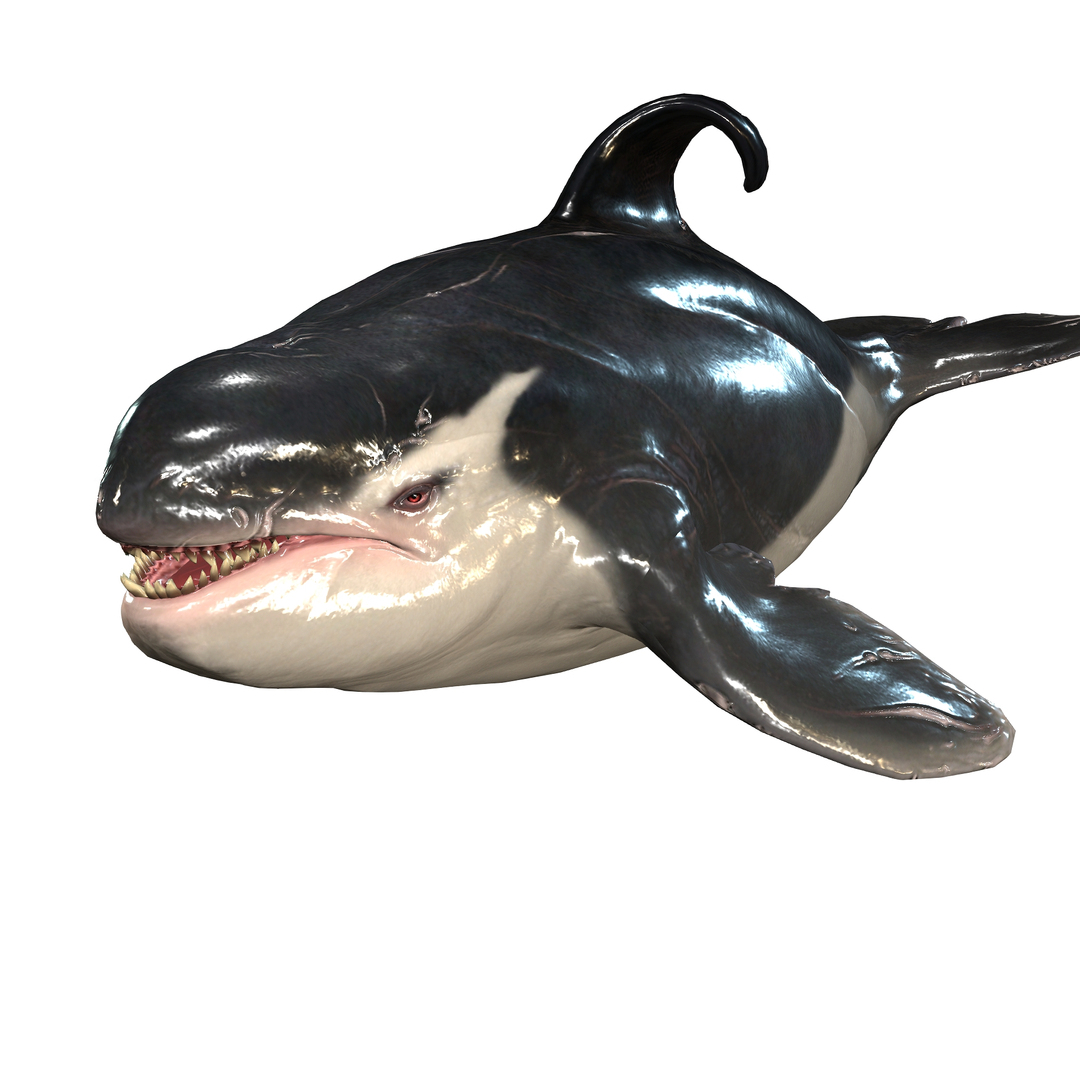 ORCA THE Killer Whale FISH 3D Model - TurboSquid 2216823