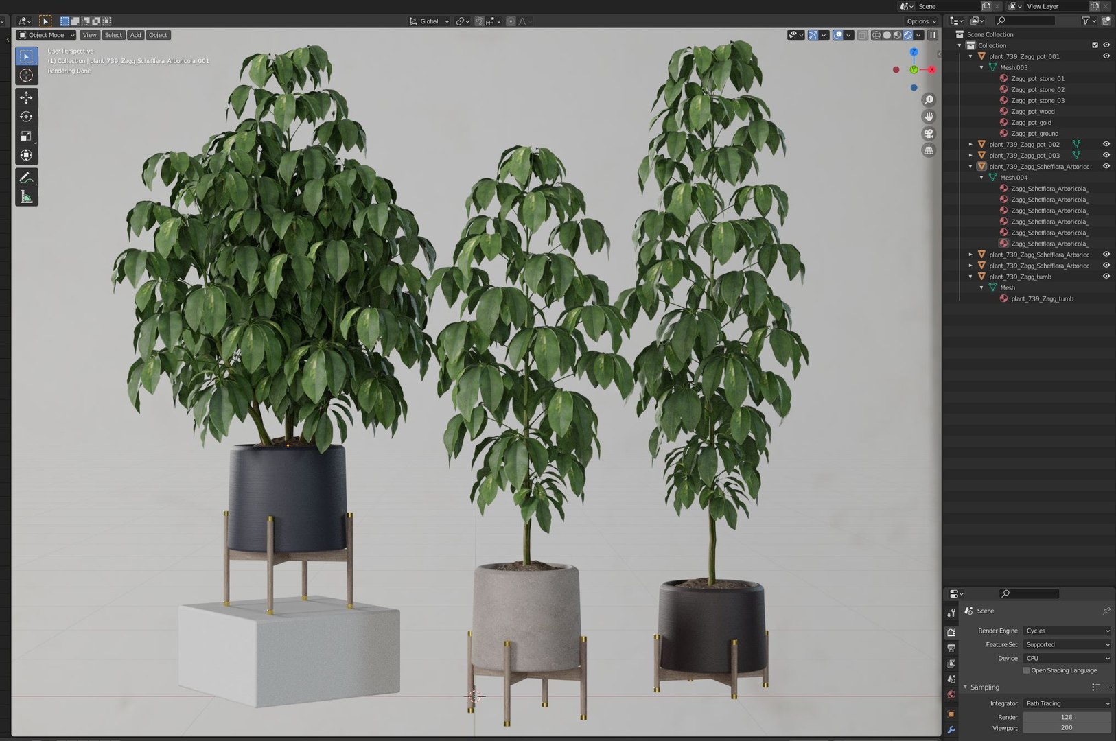 3D Plants Collection 739 - TurboSquid 1920819