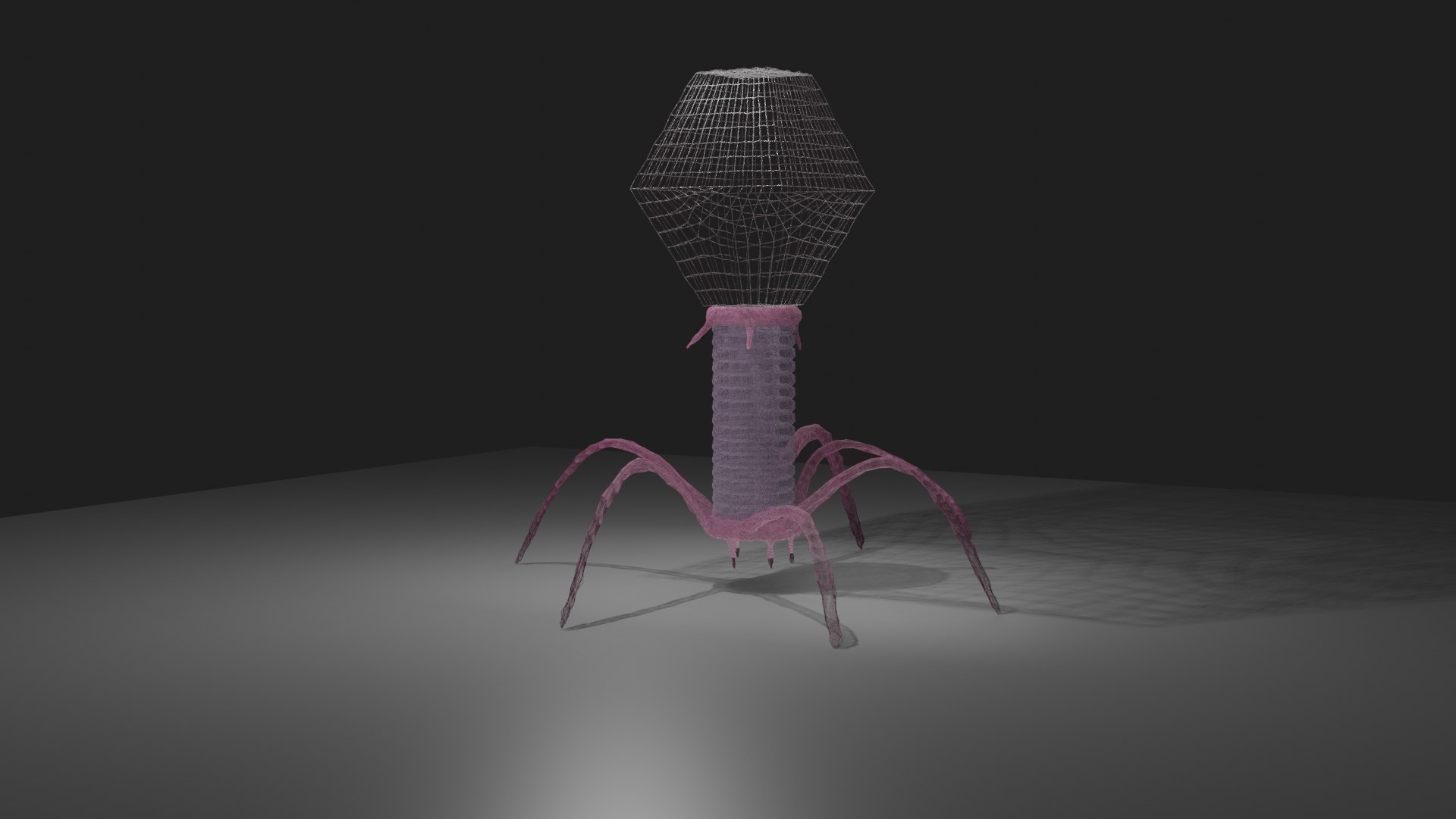 Bacteriophage 3D model - TurboSquid 1782015