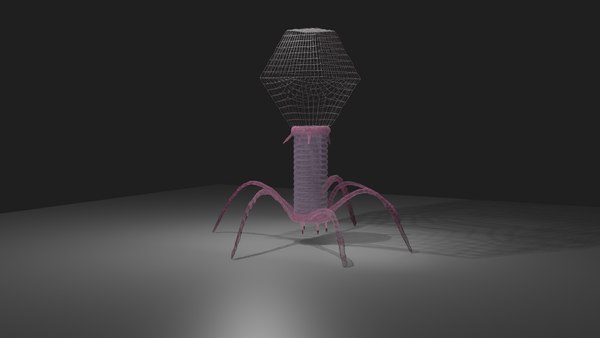 Bacteriophage 3D model - TurboSquid 1782015
