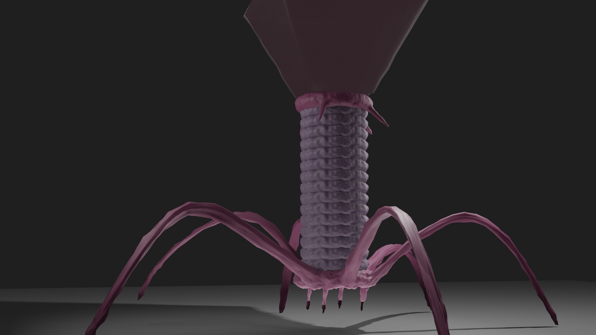 Bacteriophage 3D model - TurboSquid 1782015