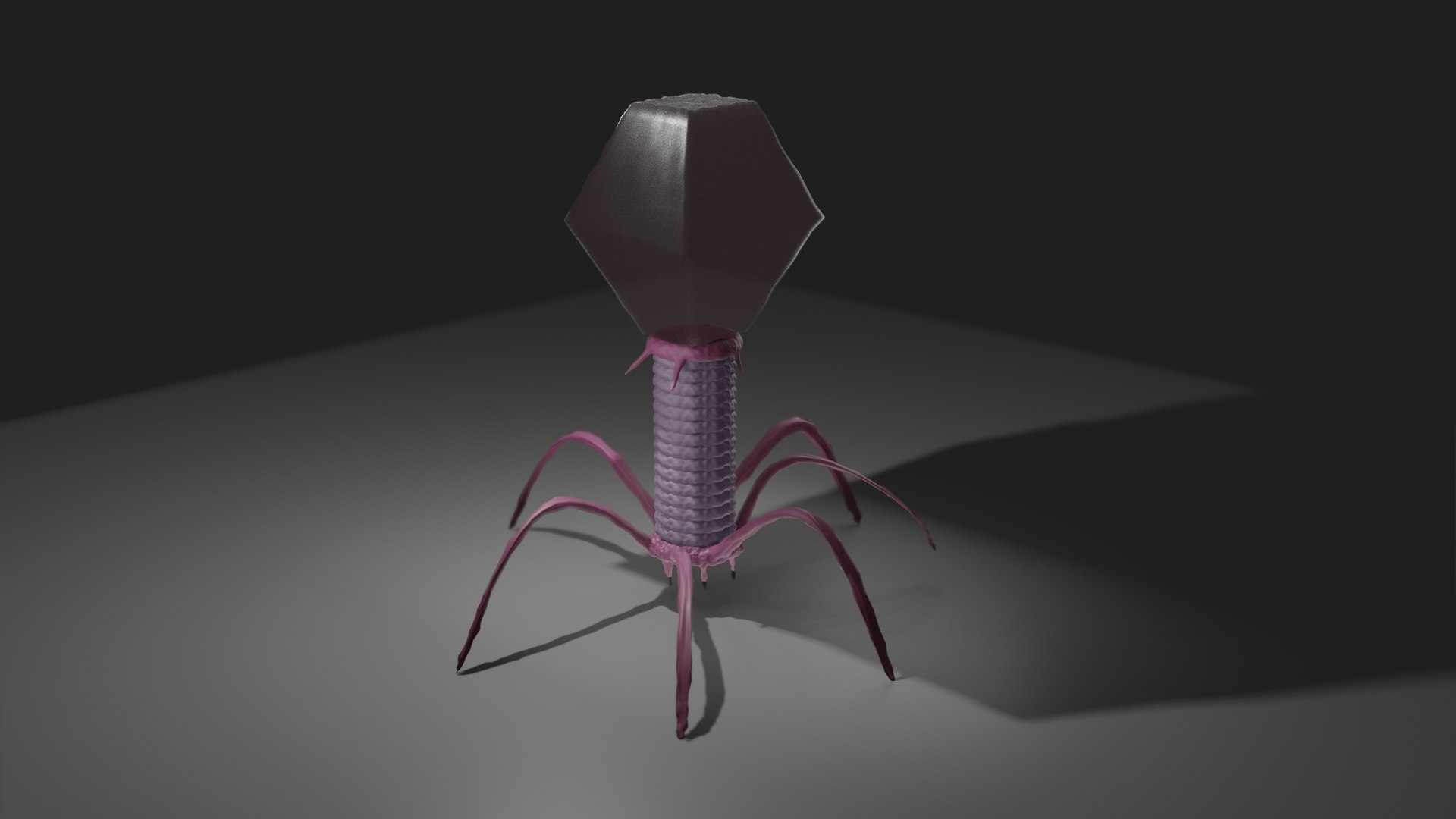 Bacteriophage 3D model - TurboSquid 1782015