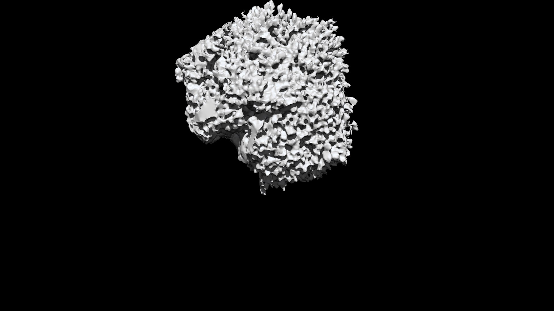 3D Broccoli Cut 3D CT Scan Model 5 Model - TurboSquid 1886452