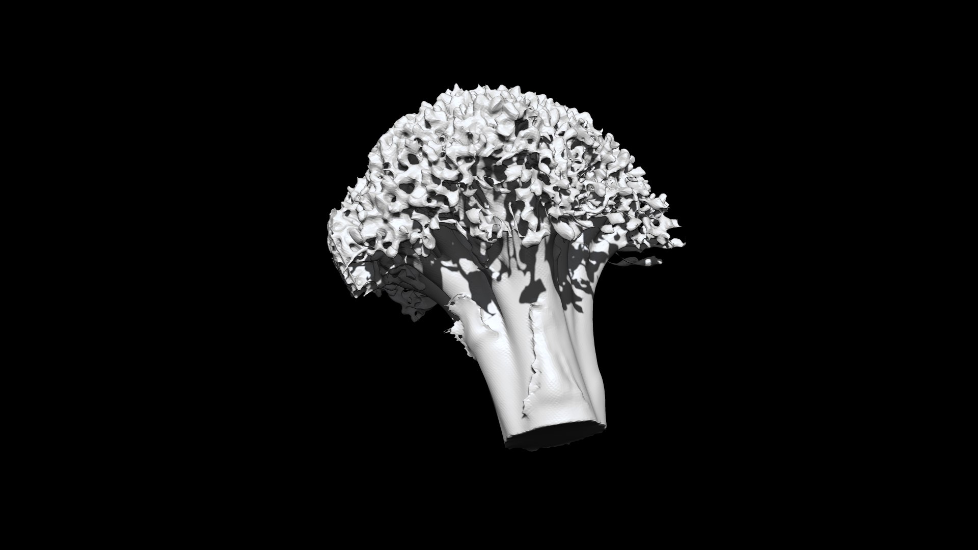 3D Broccoli Cut 3D CT Scan Model 5 Model - TurboSquid 1886452