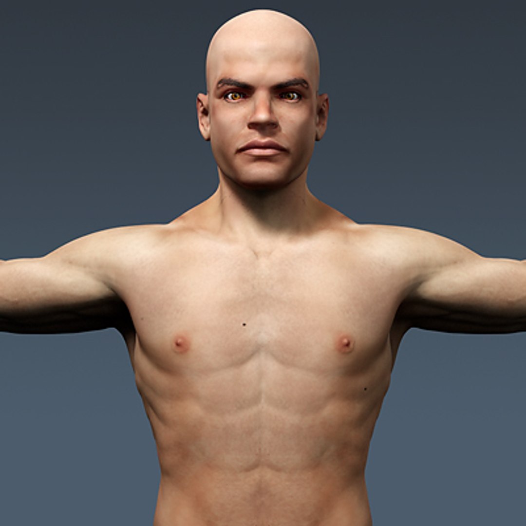 anatomically human male body 3d model