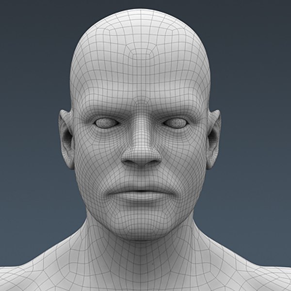 anatomically human male body 3d model