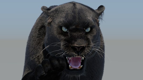 modelo 3d Rigged Black Panther - TurboSquid 2106552