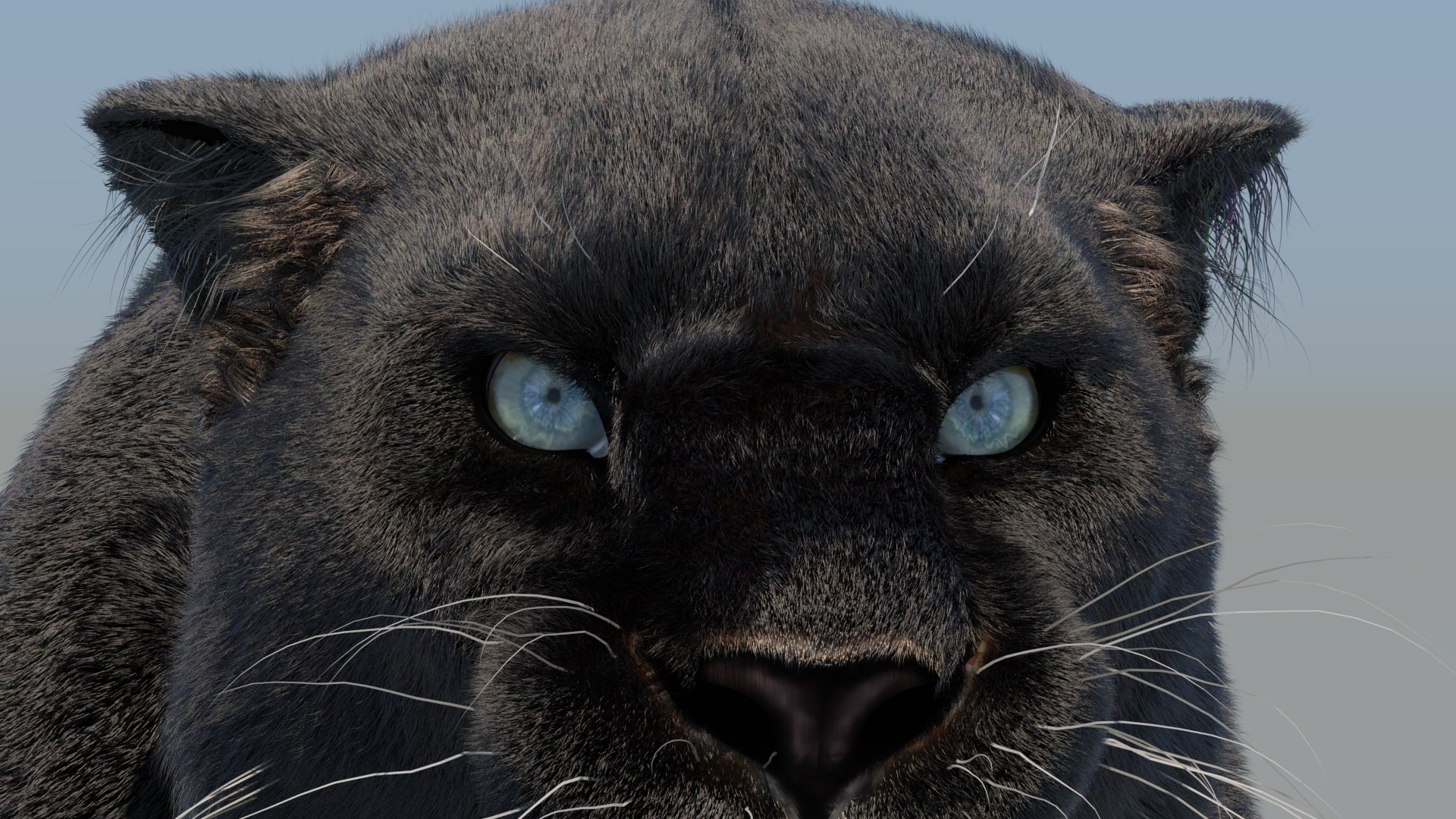 3D Rigged Black Panther - TurboSquid 2106552