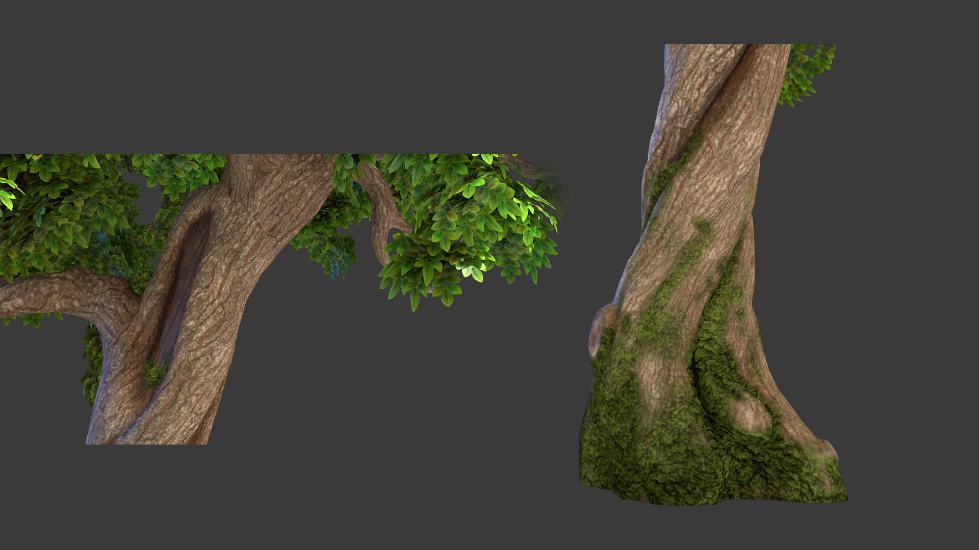 3D Tree Forest Plant Model - TurboSquid 1897531