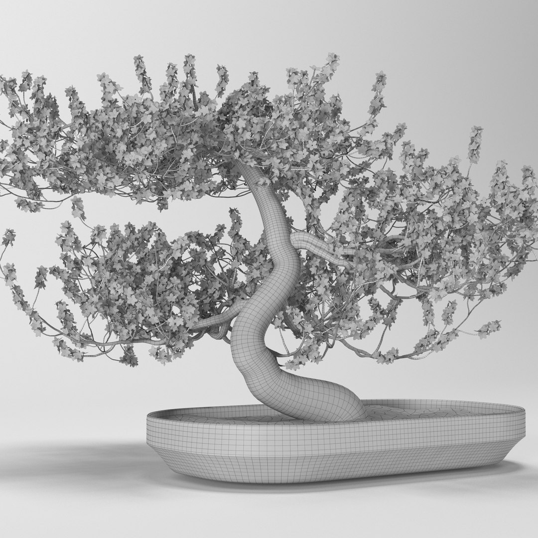 3D Bonsai - TurboSquid 1545045