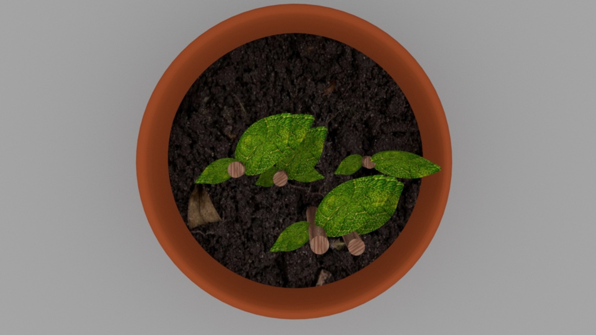 3D Flower Pot Model - TurboSquid 1644914