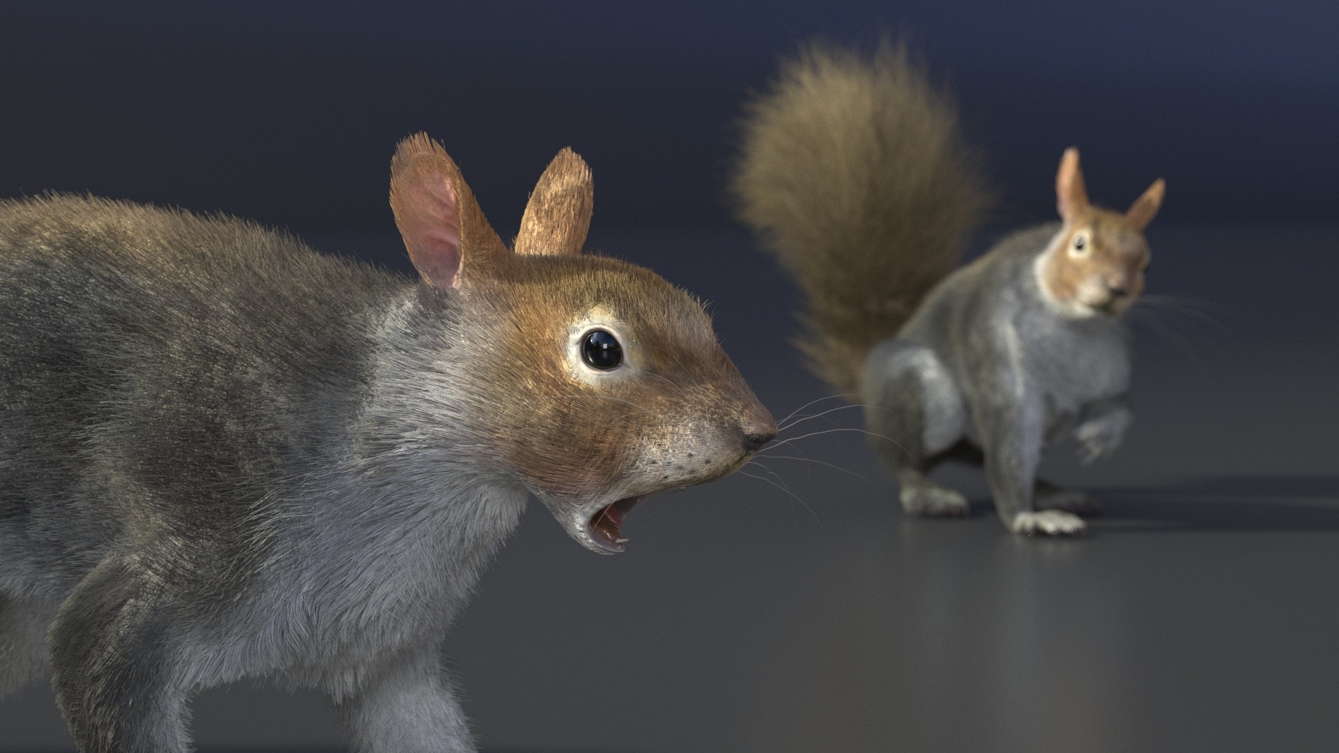 3D Model Gray Squirrel Fur Rigged - TurboSquid 2258233