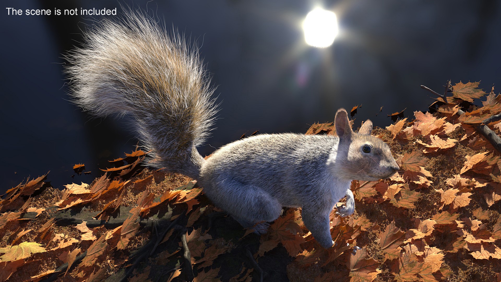 3D Model Gray Squirrel Fur Rigged - TurboSquid 2258233