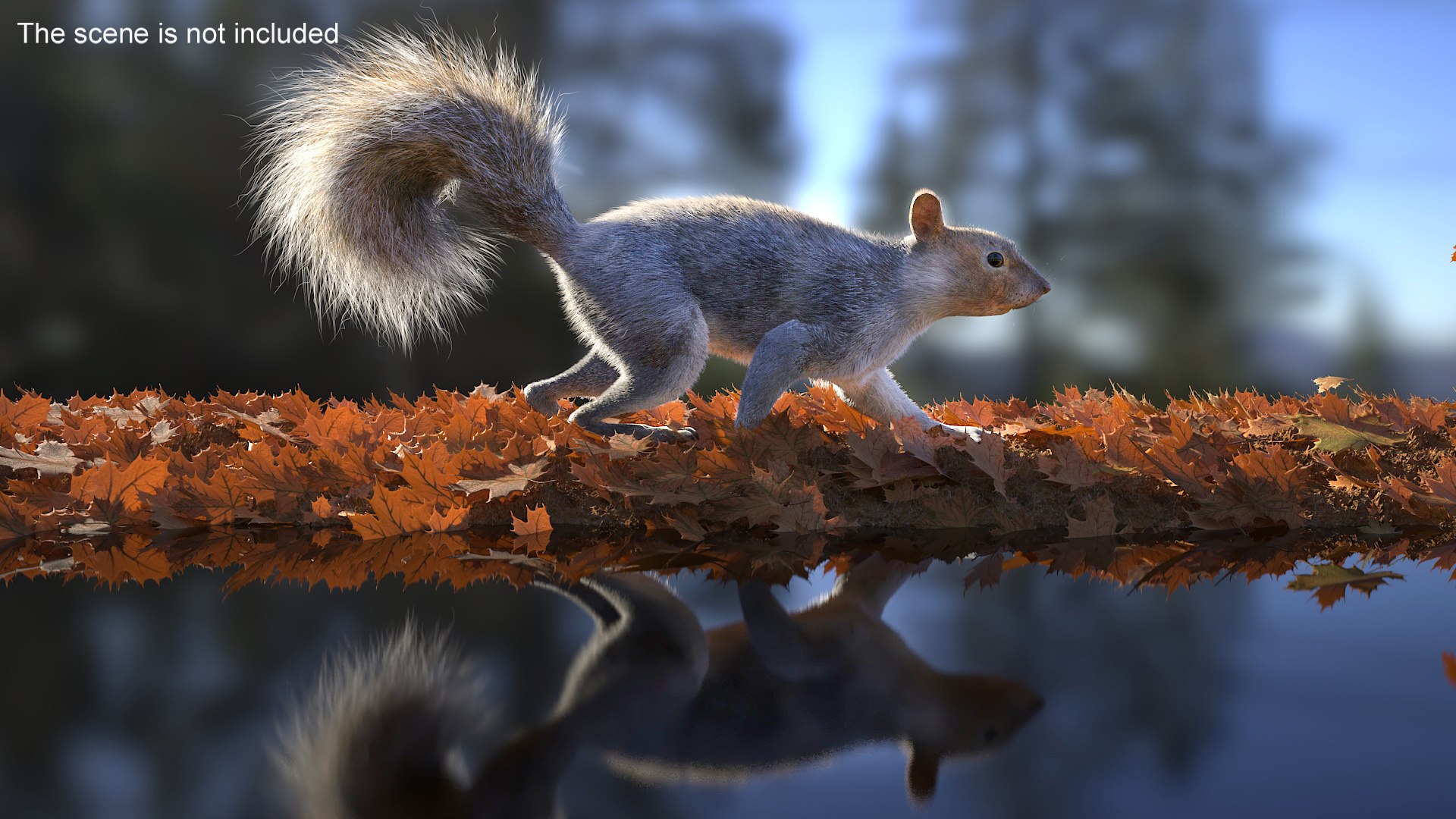 3D Model Gray Squirrel Fur Rigged - TurboSquid 2258233