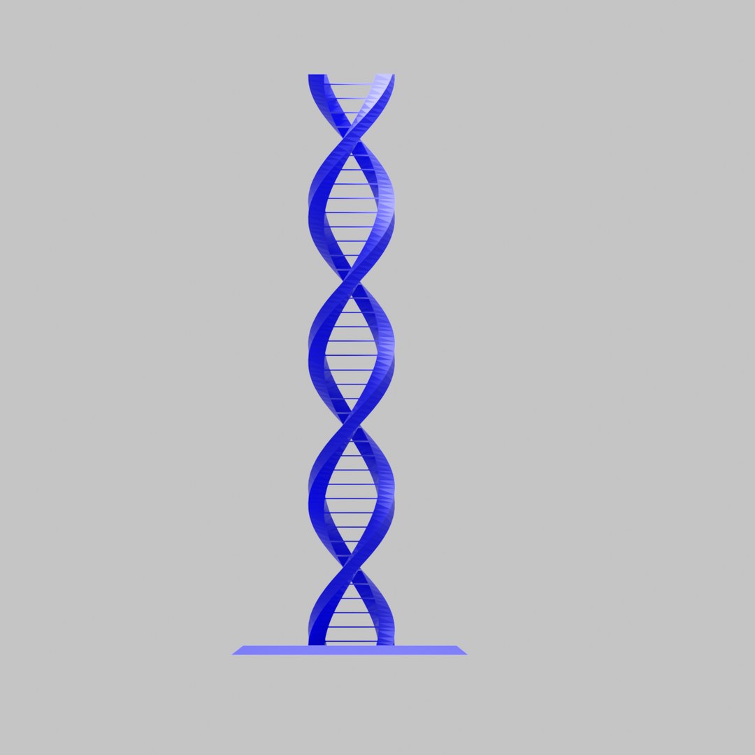 3D Print Printable Dna - TurboSquid 1577016