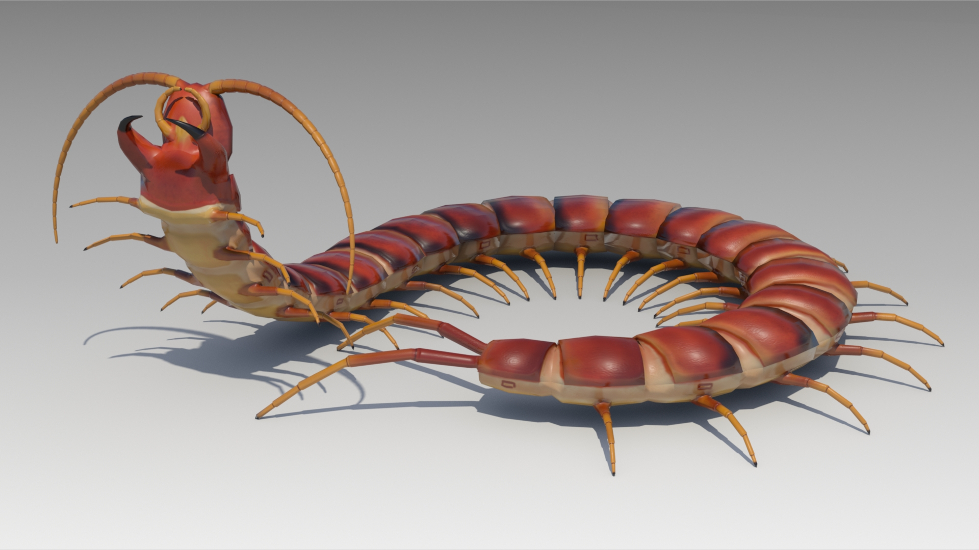 3D centipede - TurboSquid 1159398