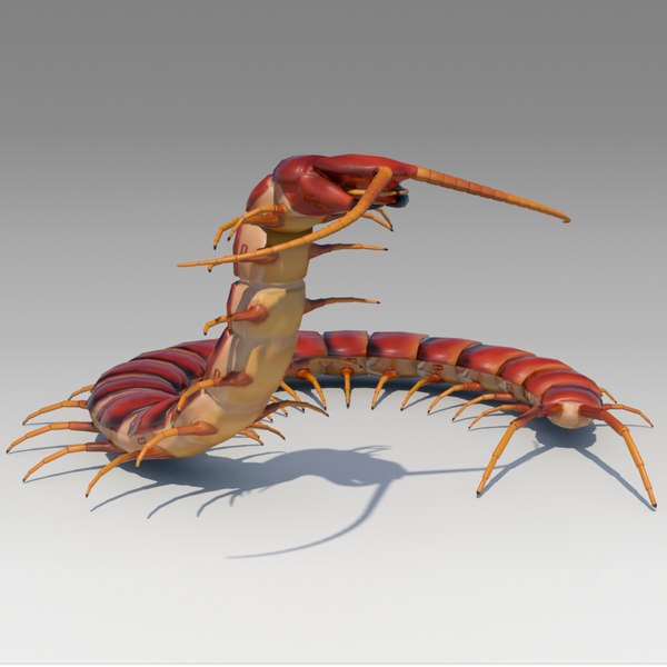3D centipede - TurboSquid 1159398