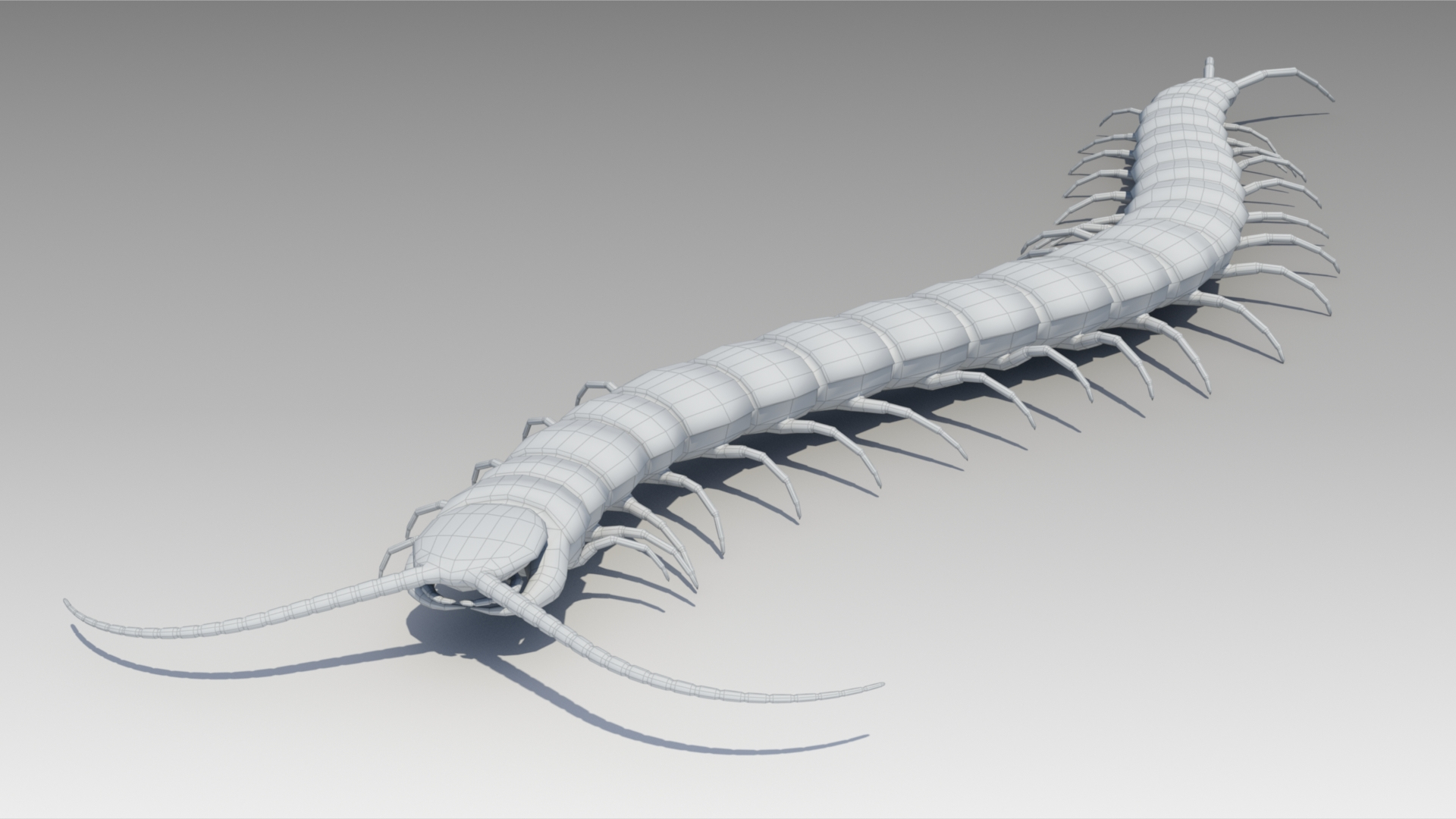 3D centipede - TurboSquid 1159398
