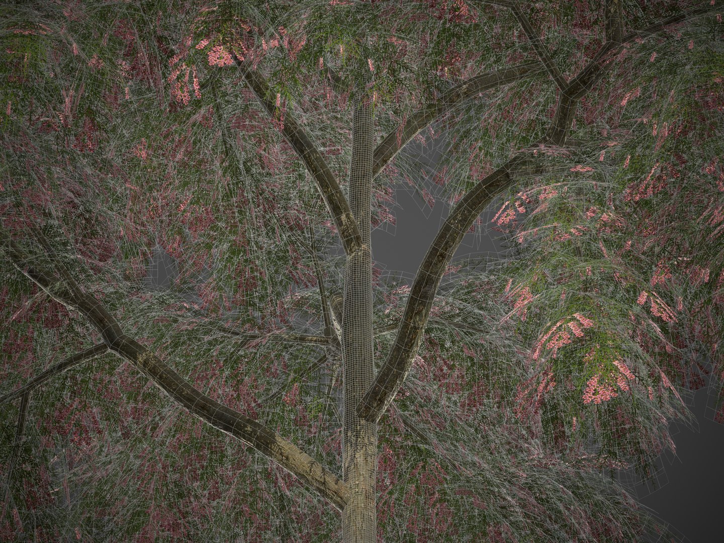 2021 PBR French Tamarisk Collection - Tamarix Gallica Model ...