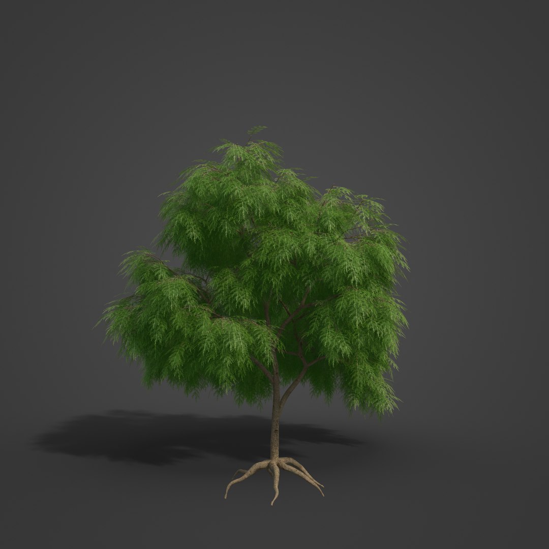 2021 PBR French Tamarisk Collection - Tamarix Gallica Model ...