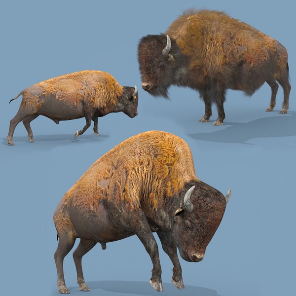 modelo 3d Pro Bison 8K - animación 3D - TurboSquid 2339588
