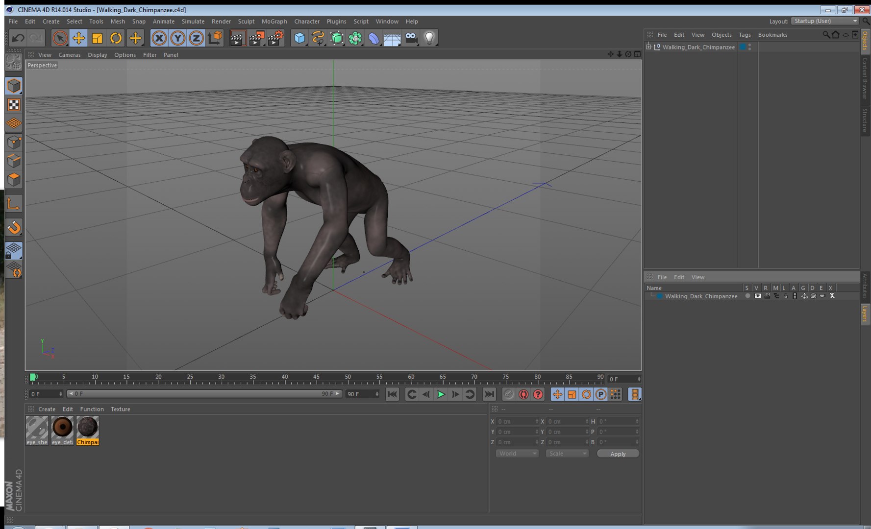 3D Walking Dark Chimpanzee Model - TurboSquid 1432253