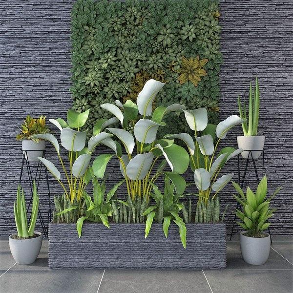 modelo 3d Home Potted Plant Collection - TurboSquid 2033634