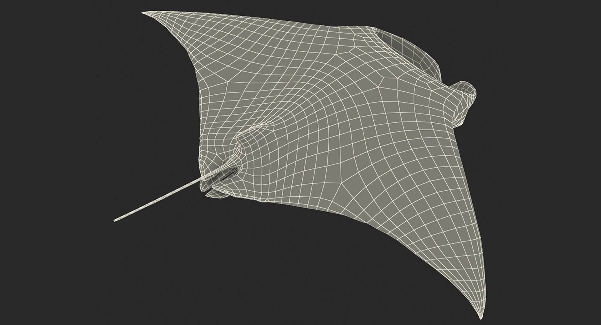 3d manta rigged model