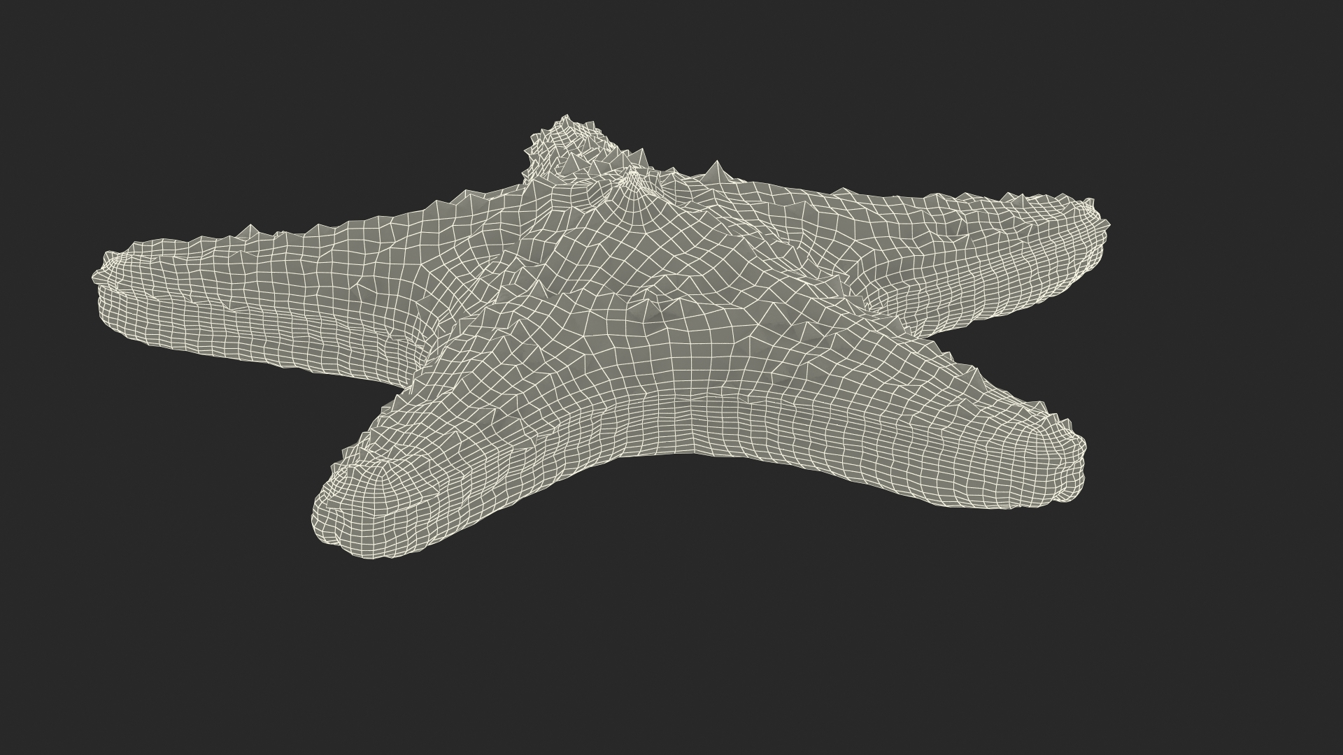 3D Realistic Starfish - TurboSquid 2335532