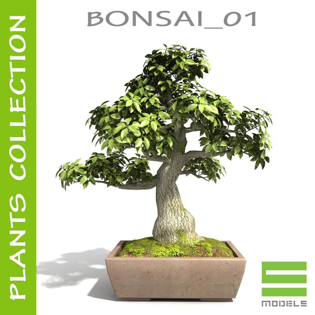 3dsmax bonsai 01