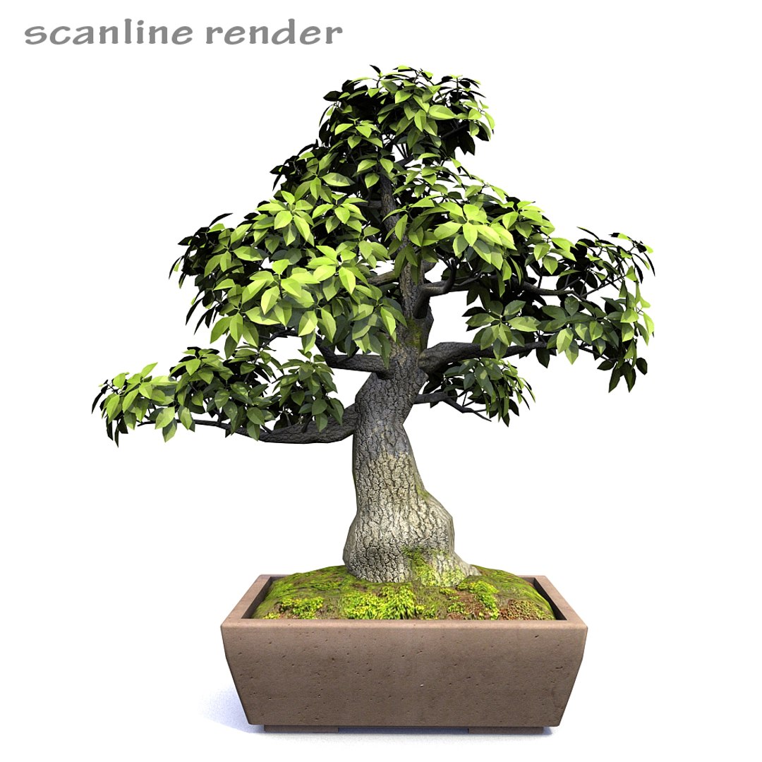 3dsmax Bonsai 01