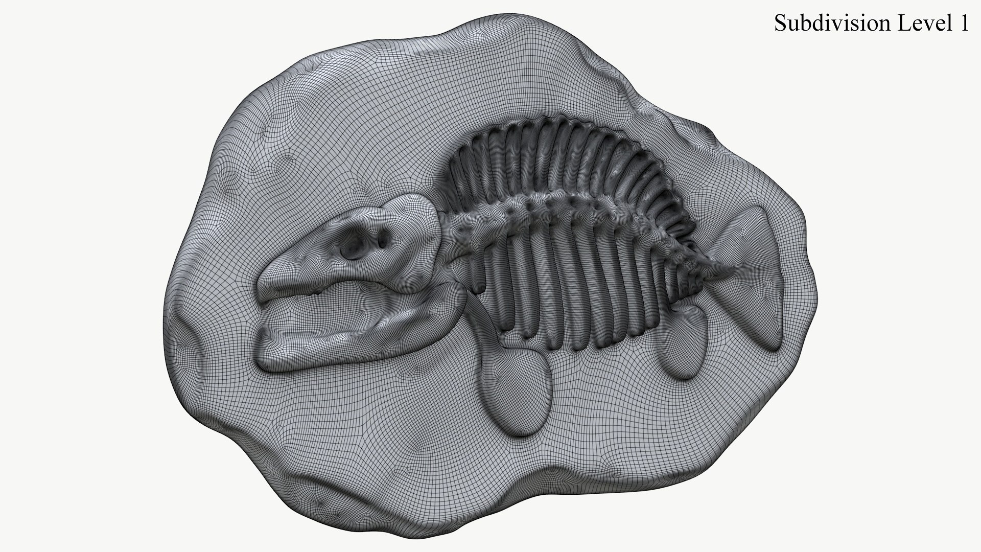 3D Prehistoric Fish Skeleton Fossil 019 Textured Model - TurboSquid 2302543