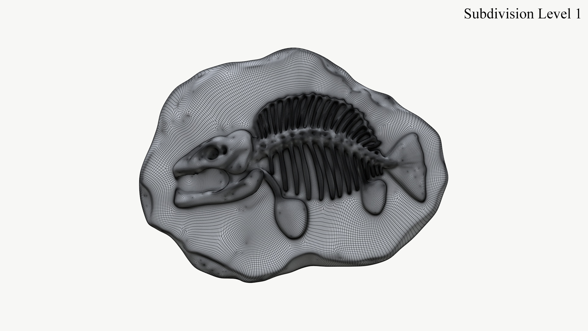 3D Prehistoric Fish Skeleton Fossil 019 Textured Model - TurboSquid 2302543