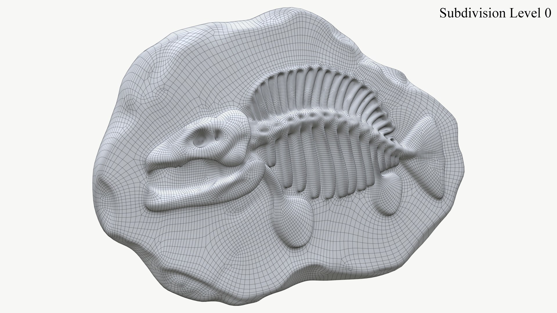 3D Prehistoric Fish Skeleton Fossil 019 Textured Model - TurboSquid 2302543