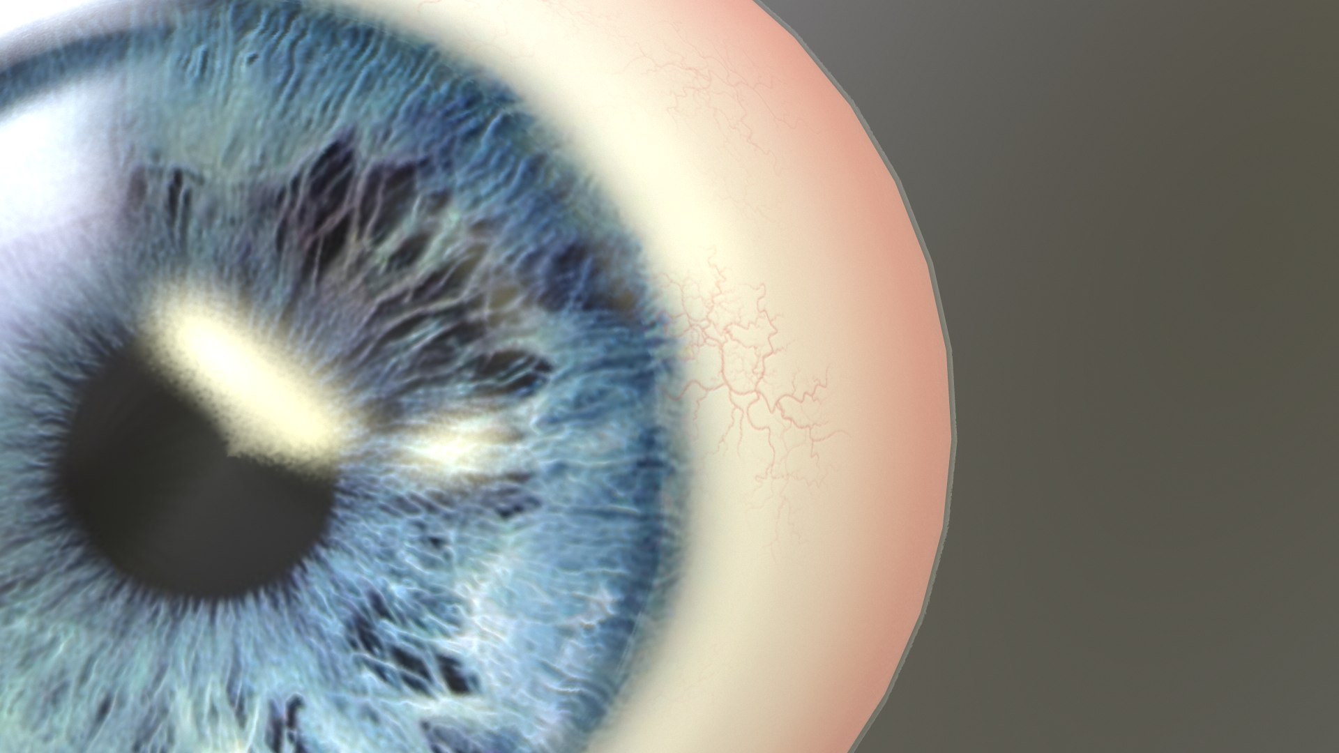 Eye Video Games 3D Model - TurboSquid 1575588