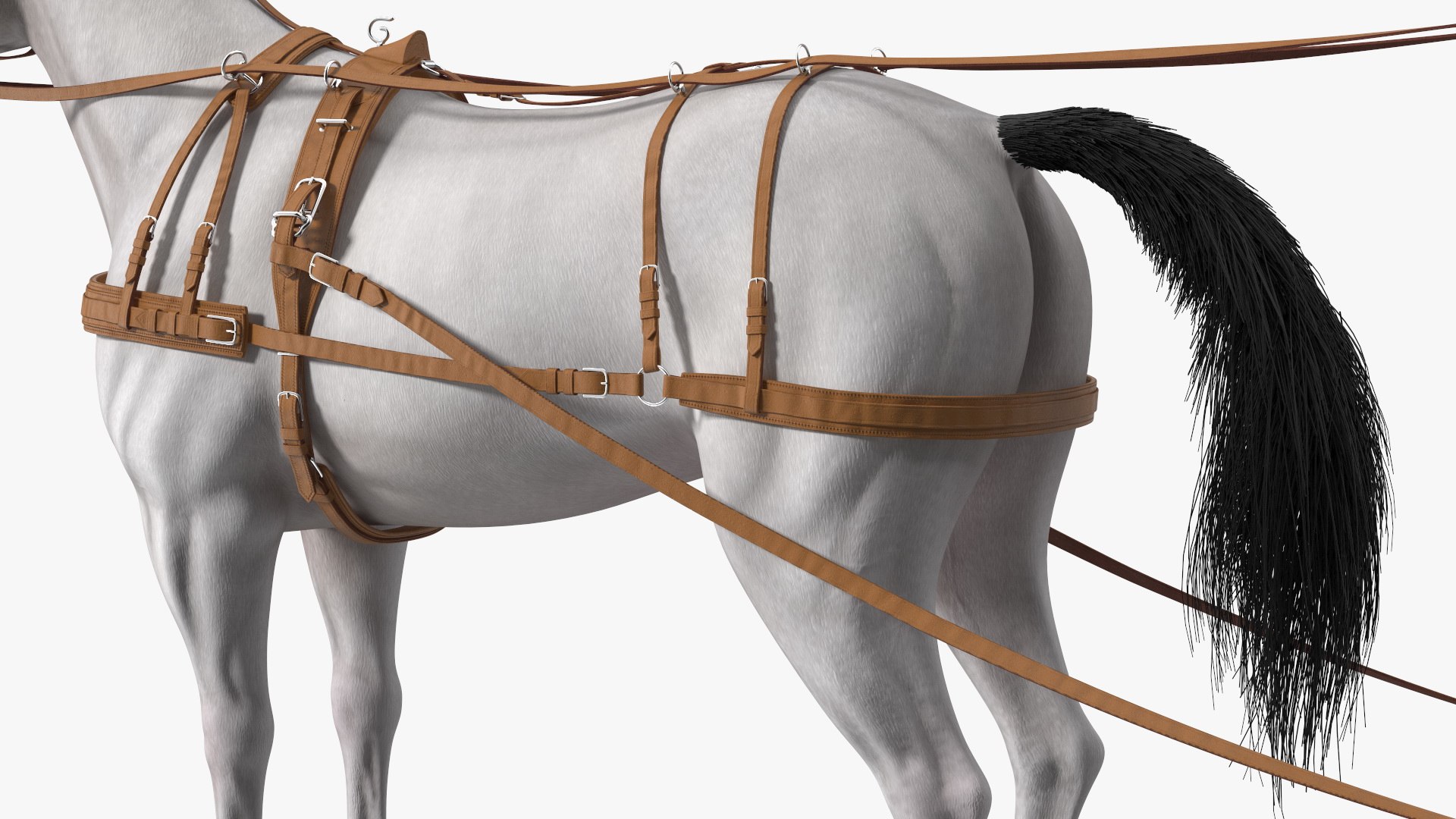 3D White Horse Single Driving Harness - TurboSquid 2366334